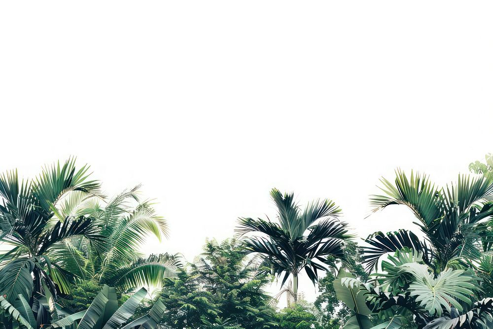 Lush tropical palm trees landscape | Premium Photo - rawpixel