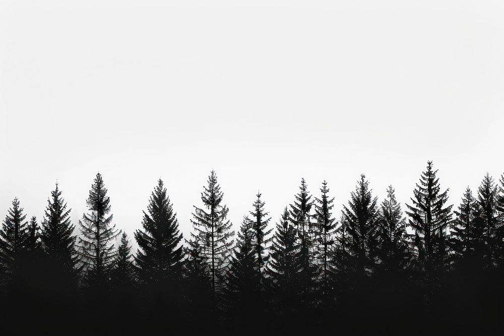 Silhouetted forest trees skyline | Free Photo - rawpixel