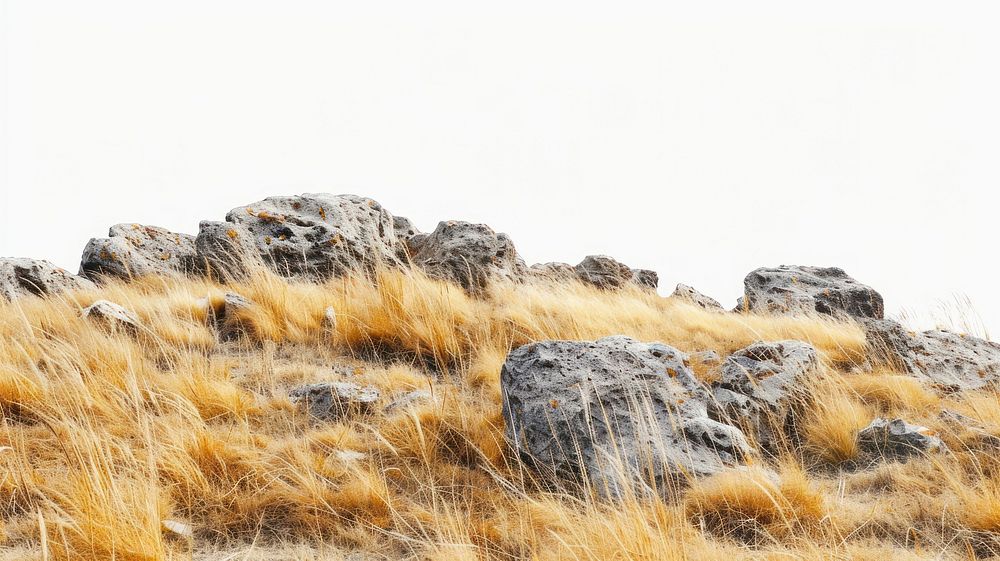 Rocky grassland under clear sky | Free Photo - rawpixel