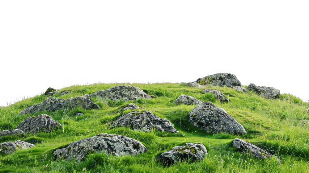 Green grassy hill with rocks | Free Photo - rawpixel