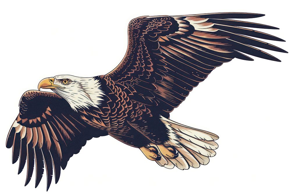 Majestic eagle soaring illustration | Free Photo Illustration - rawpixel