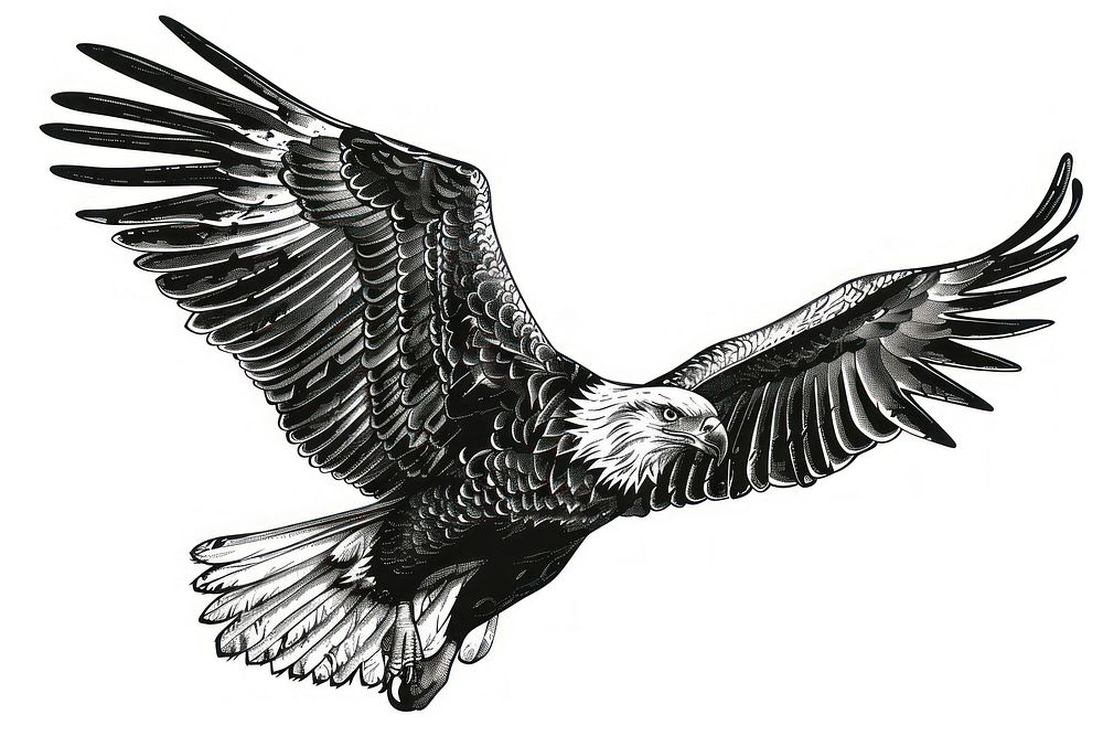 Majestic eagle soaring illustration | Free Photo Illustration - rawpixel