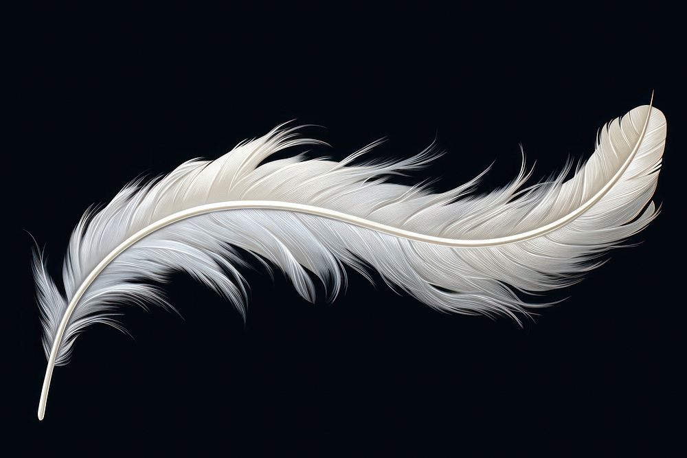Illustration white curly feather flying | Free Photo Illustration ...