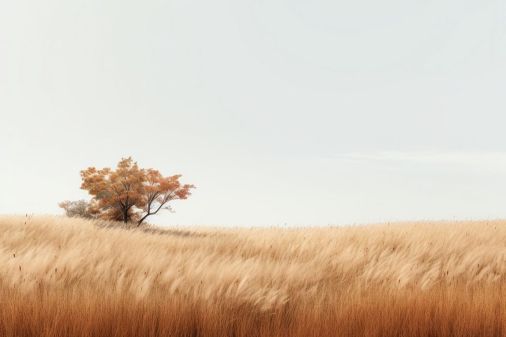 Serene autumn tree field | Free Photo - rawpixel