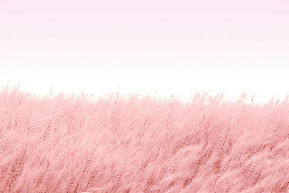 Pink grass field landscape | Free Photo - rawpixel