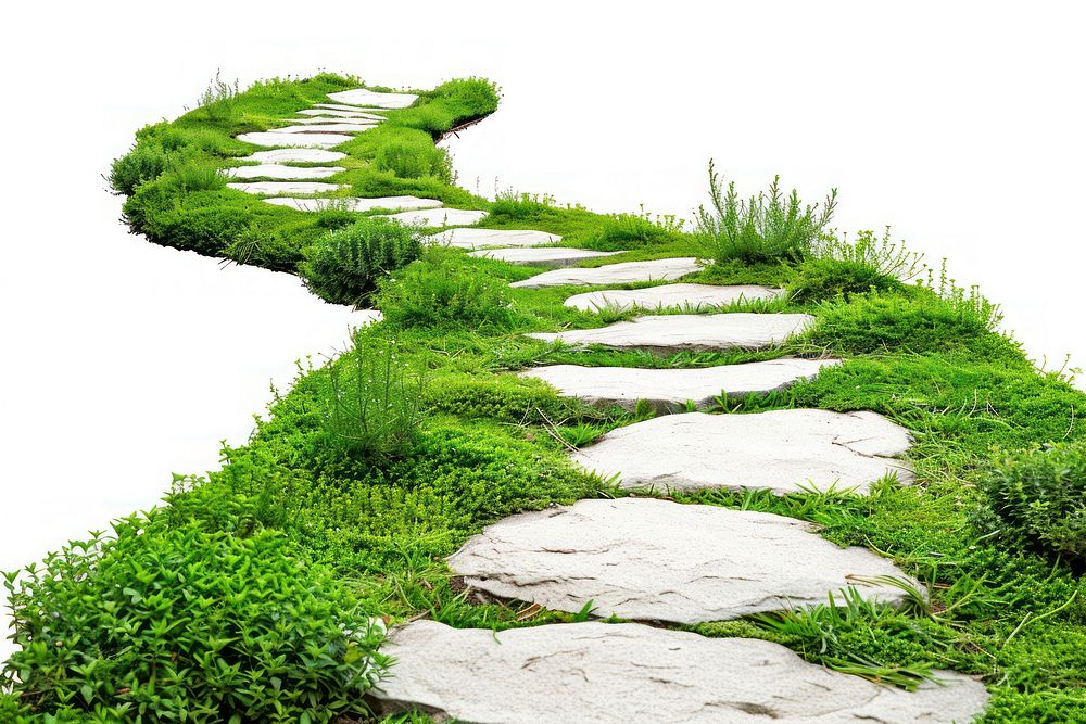 Serene stone path greenery | Premium Photo - rawpixel