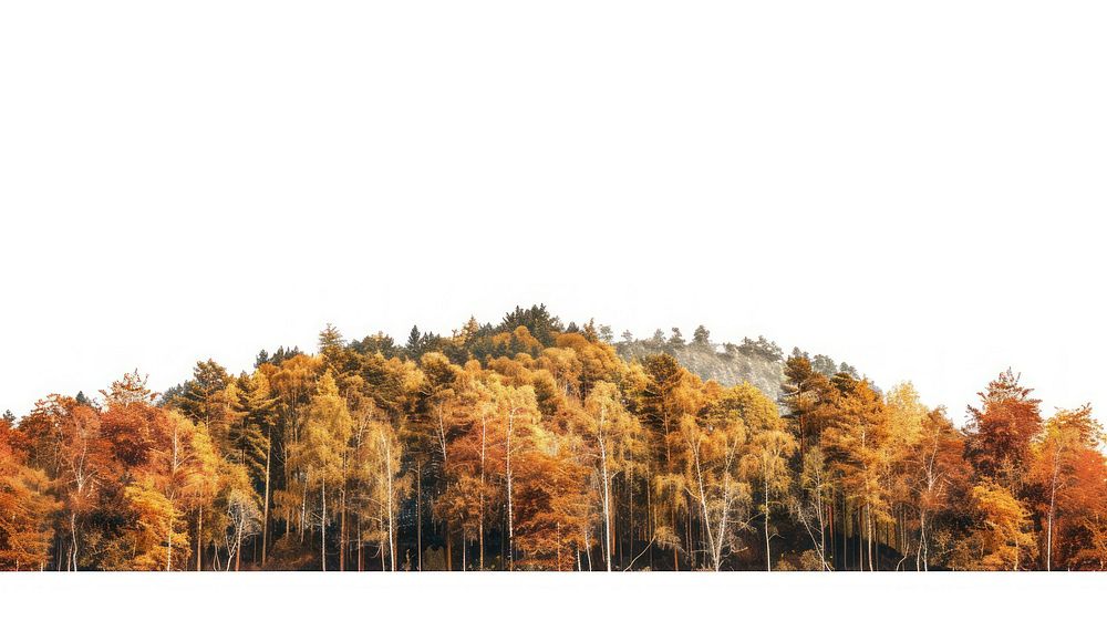 Autumn forest hills mountain landscape | Free Photo - rawpixel