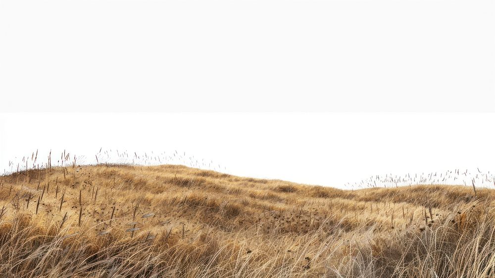 Dried grass field hills ground | Free Photo - rawpixel