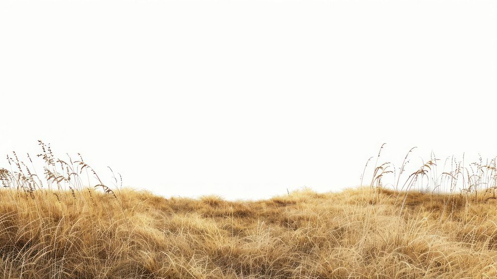 Dried grass field hills landscape | Free Photo - rawpixel