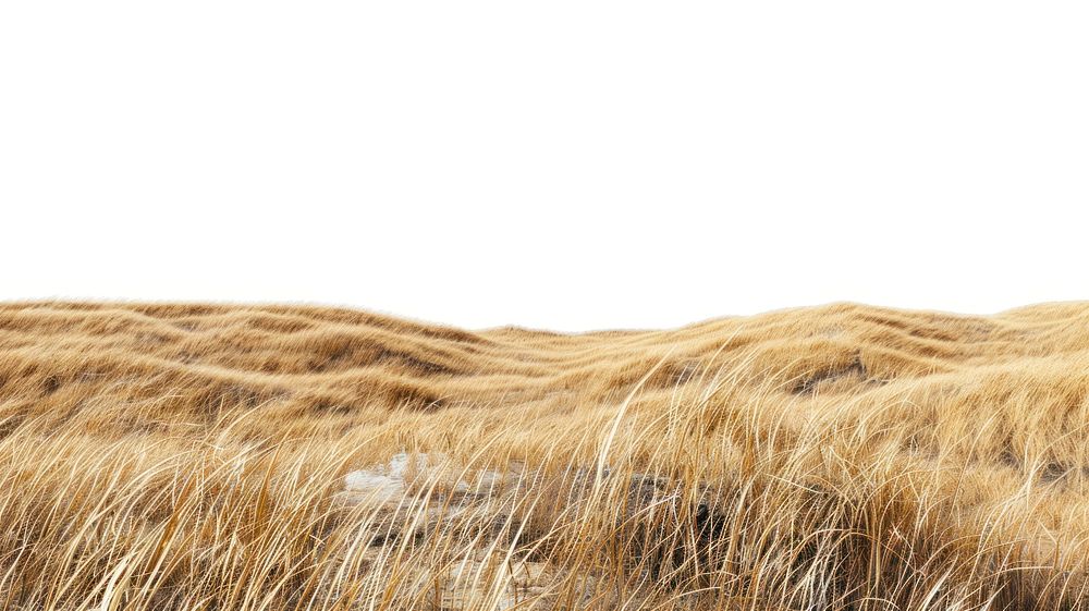 Dried grass field hills landscape | Free Photo - rawpixel