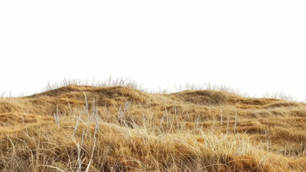 Dried grass field hills ground | Free Photo - rawpixel