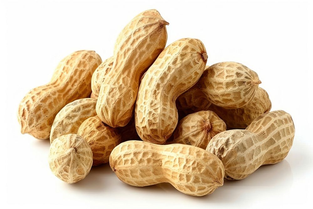 Fresh organic peanuts in shell | Free Photo - rawpixel