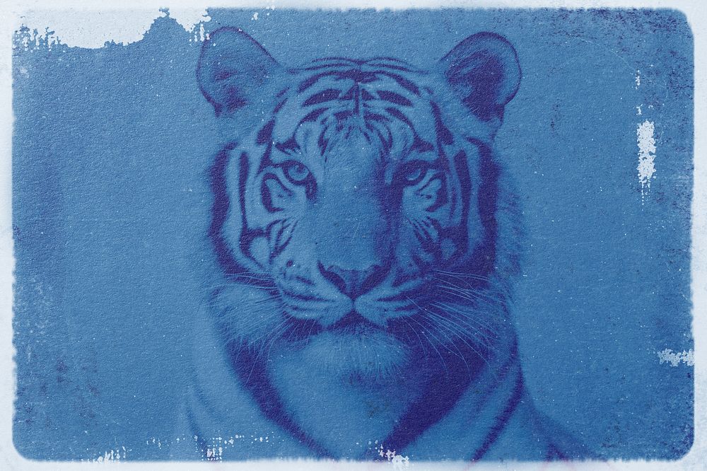 Blue tiger vintage art psd | Premium PSD - rawpixel
