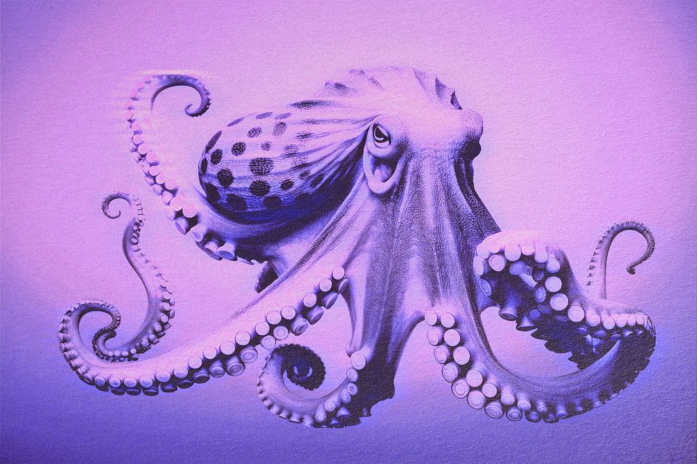 Vibrant purple octopus illustration psd | Premium PSD - rawpixel