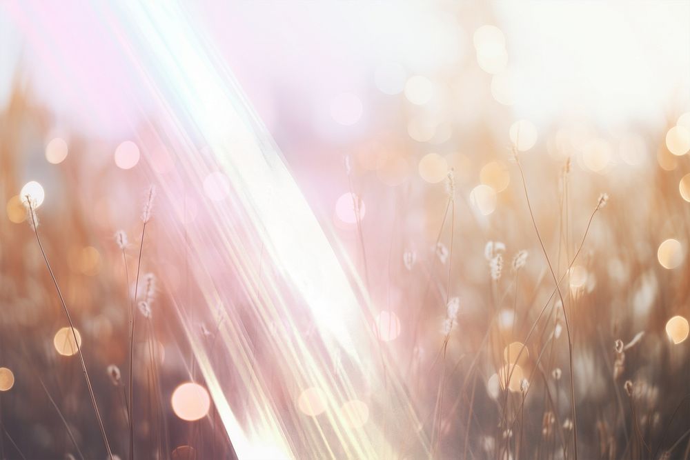 Ethereal light bokeh field | Free Photo - rawpixel