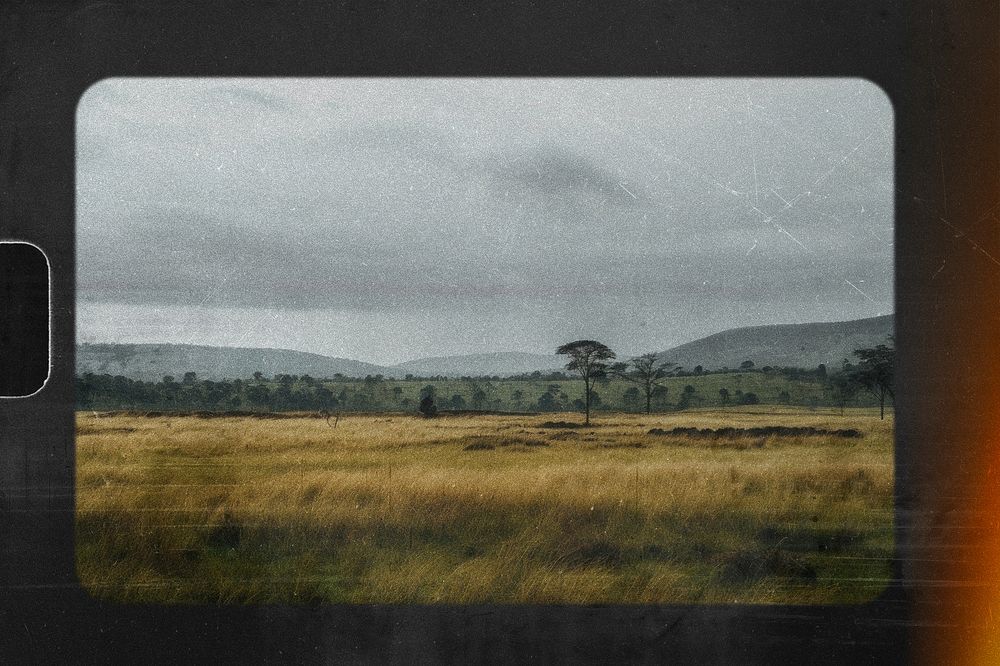 Film Frame Designs | Free Vector Graphics, Clip Art, PSD & PNG Frames ...