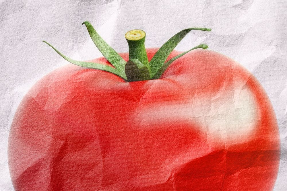 Vibrant fresh tomato on paper | Free Photo - rawpixel