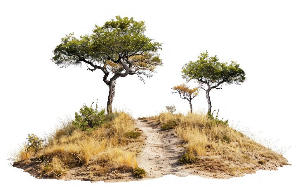Isolated desert path with trees | Free Photo - rawpixel