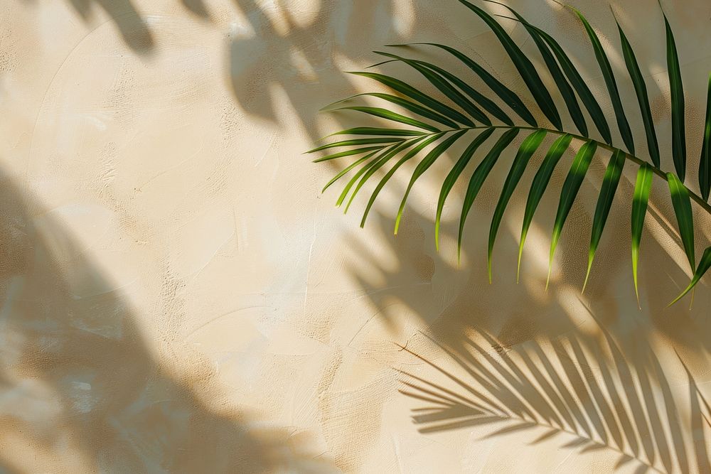 Tropical leaf shadow pattern | Free Photo - rawpixel