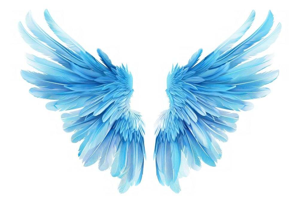Blue angel wings illustration | Free Photo Illustration - rawpixel