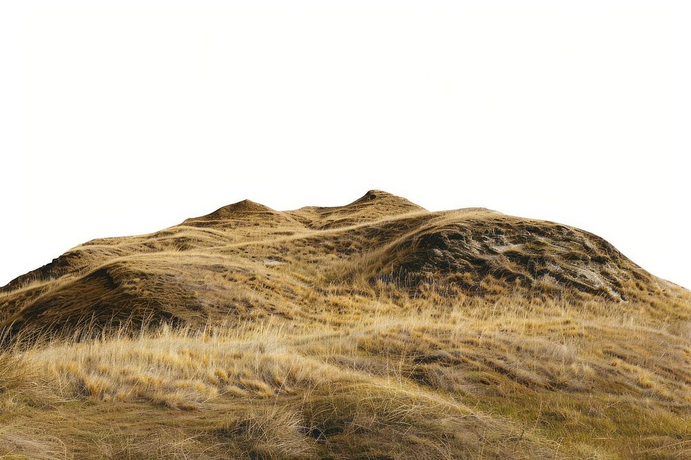 Serene golden grassy hill | Free Photo - rawpixel