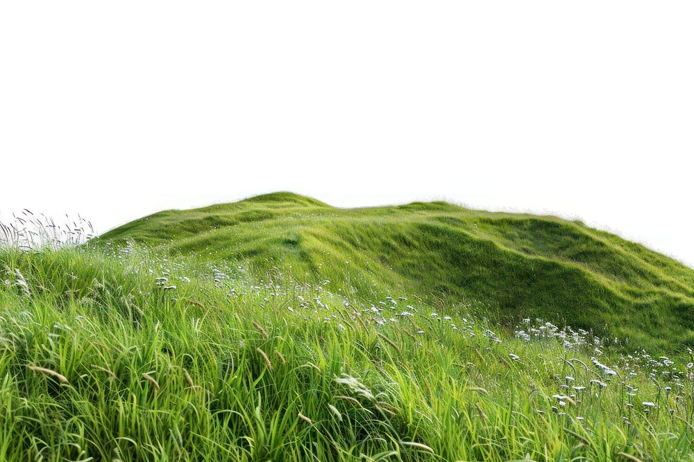 Lush green grassy hill landscape | Free Photo - rawpixel