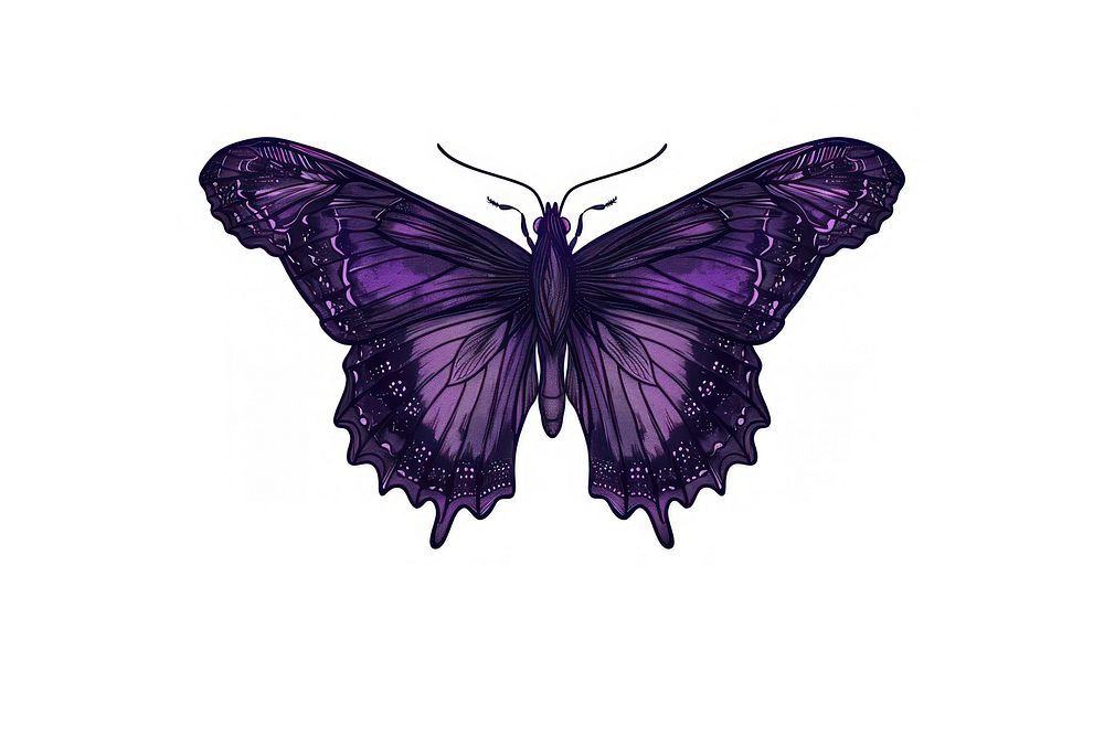 Vibrant purple butterfly illustration | Free Photo Illustration - rawpixel