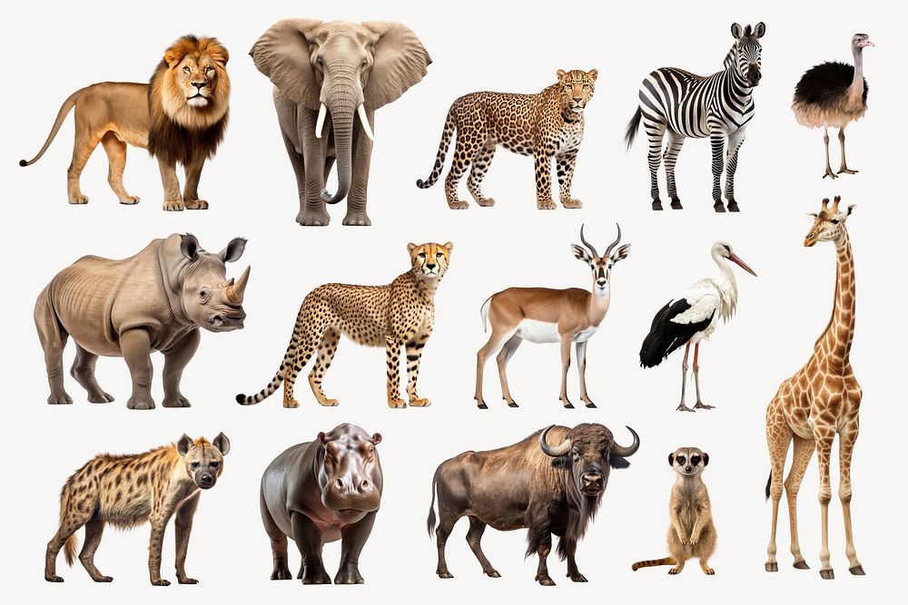 African animal element set | Premium Photo - rawpixel
