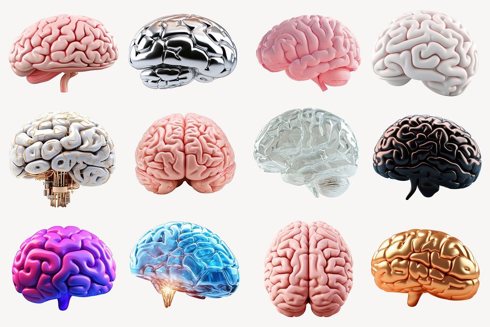 3d human brain element set | Free Photo - rawpixel