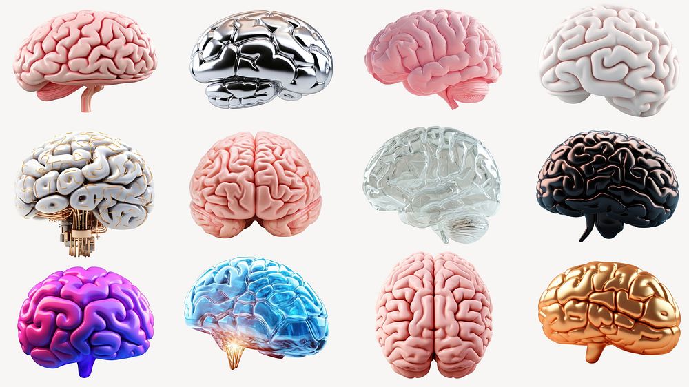 3d human brain element set | Free Photo - rawpixel