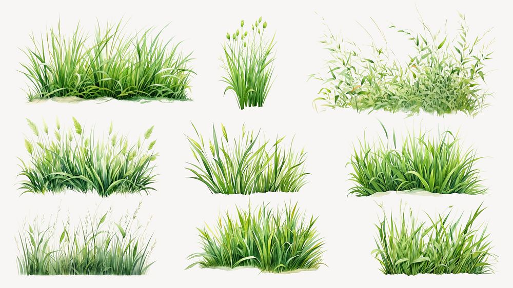grass element set | Free Photo - rawpixel