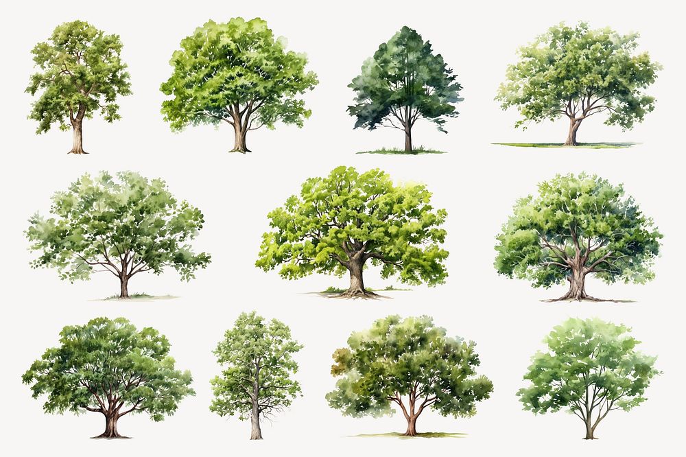 tree element set | Free Photo - rawpixel