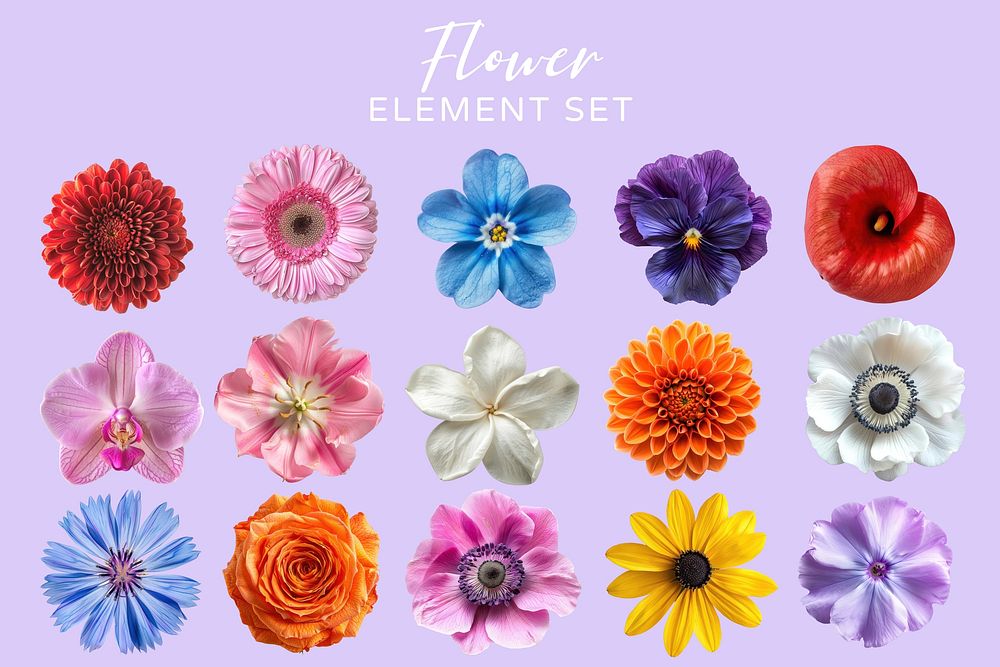 Colorful flower element set | Free Photo - rawpixel