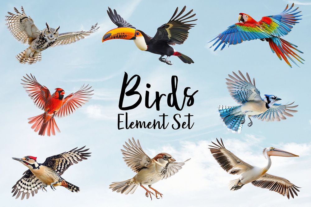 Flying bird design element set | Free Photo - rawpixel