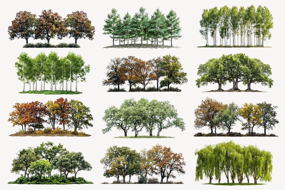 Group trees design element set | Free Photo - rawpixel