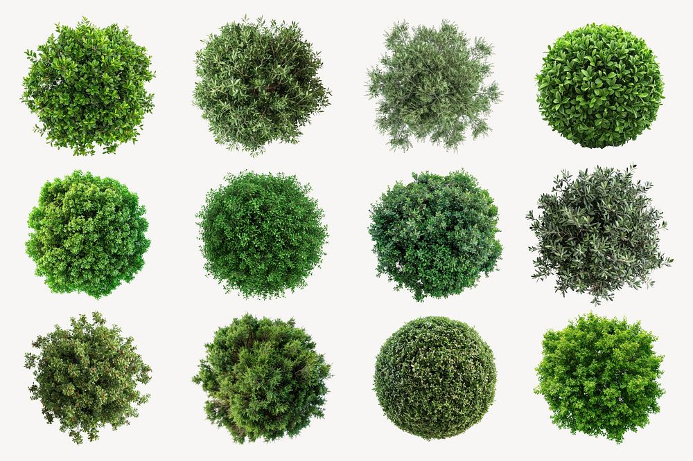 Green bush element set | Free Photo - rawpixel
