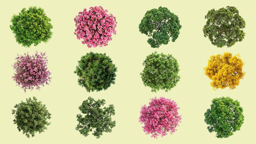 Tree top view element set | Free Photo - rawpixel