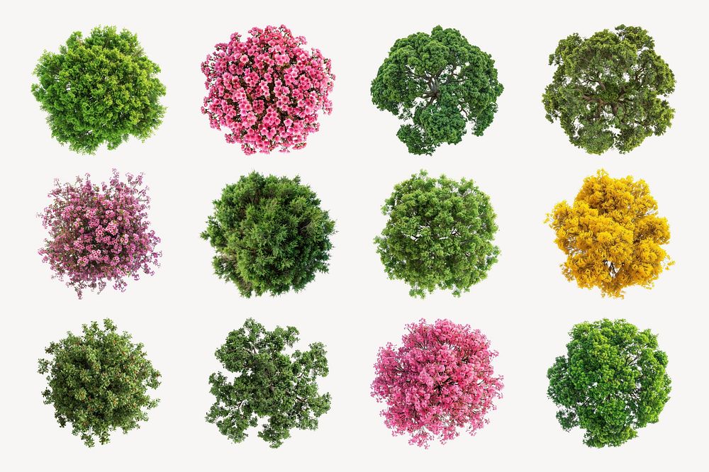 Tree top view element set | Free Photo - rawpixel