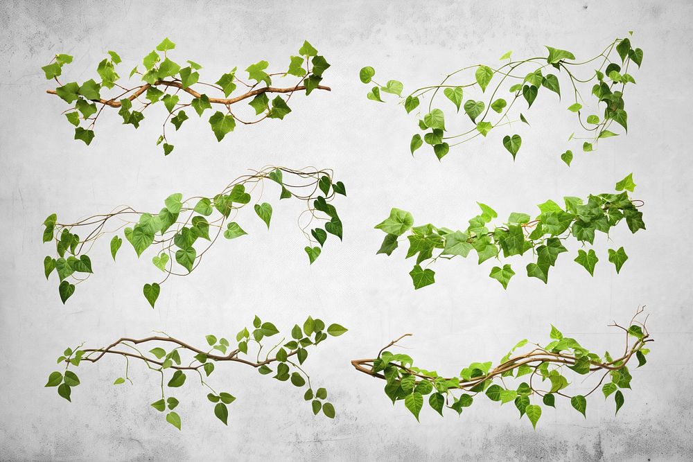 Plant vine design element set | Free Photo - rawpixel