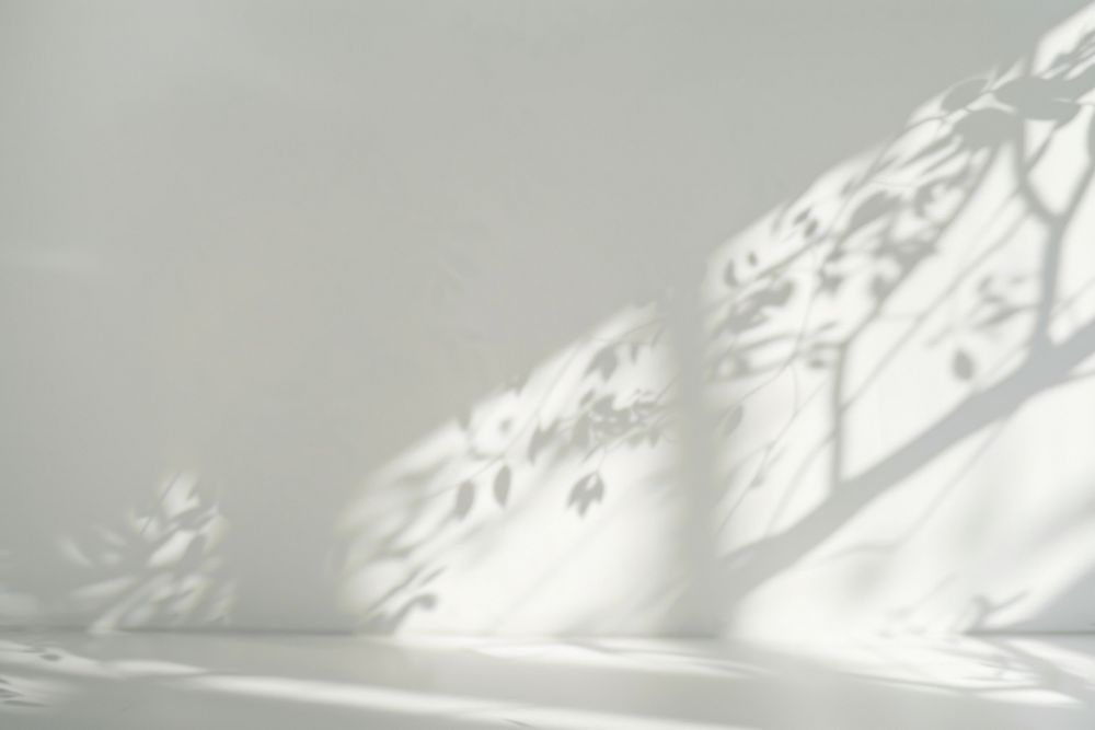Soft natural light shadows | Free Photo - rawpixel