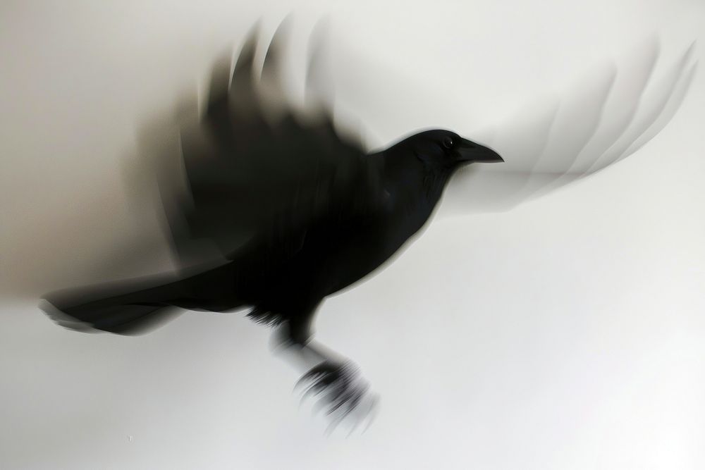 Blurred crow in flight motion | Free Photo - rawpixel
