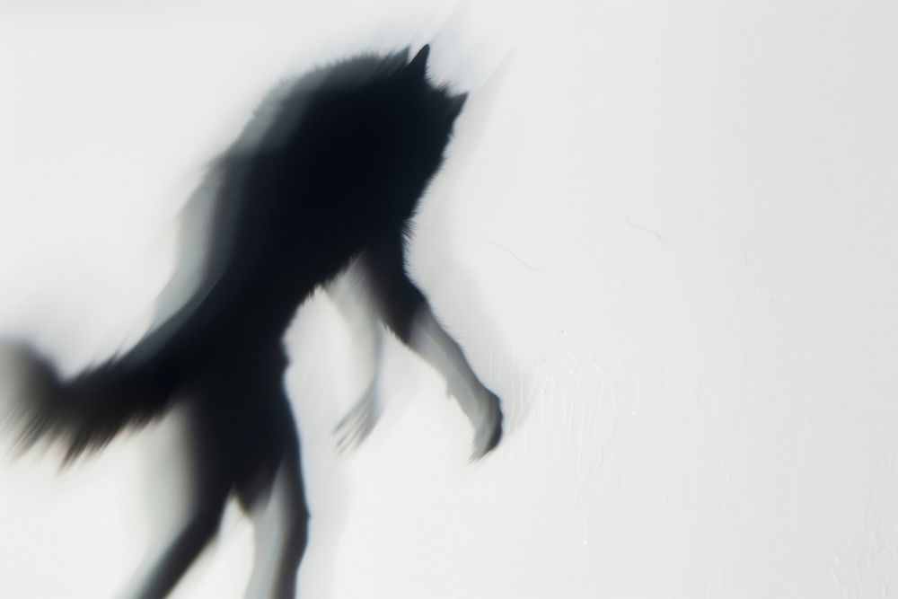 Abstract shadowy wolf silhouette | Free Photo - rawpixel
