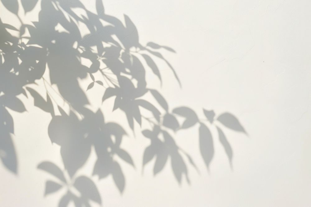 Nature-inspired minimalist shadow art | Free Photo - rawpixel