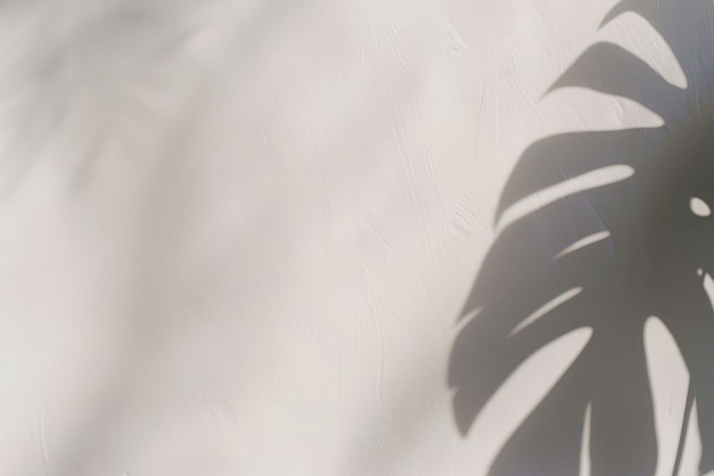 Monstera leaf shadow on wall | Free Photo - rawpixel