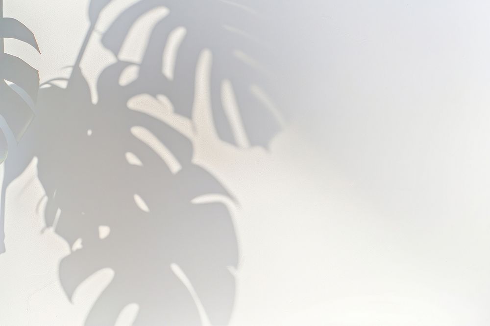Monstera leaf shadow on wall | Free Photo - rawpixel