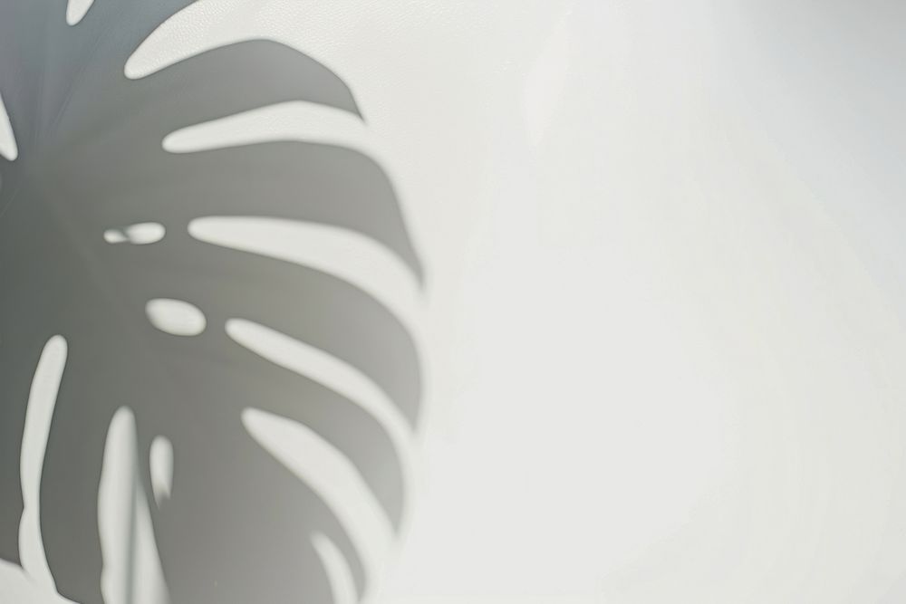 Monstera leaf shadow minimalist background | Free Photo - rawpixel