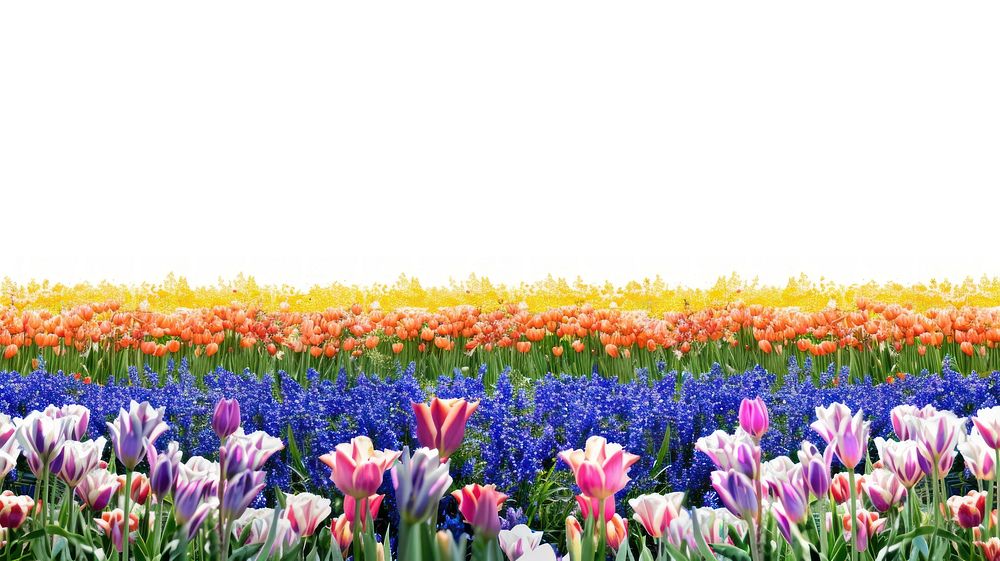 Desktop Wallpaper Spring Landscape Images | Free Photos, PNG Stickers ...