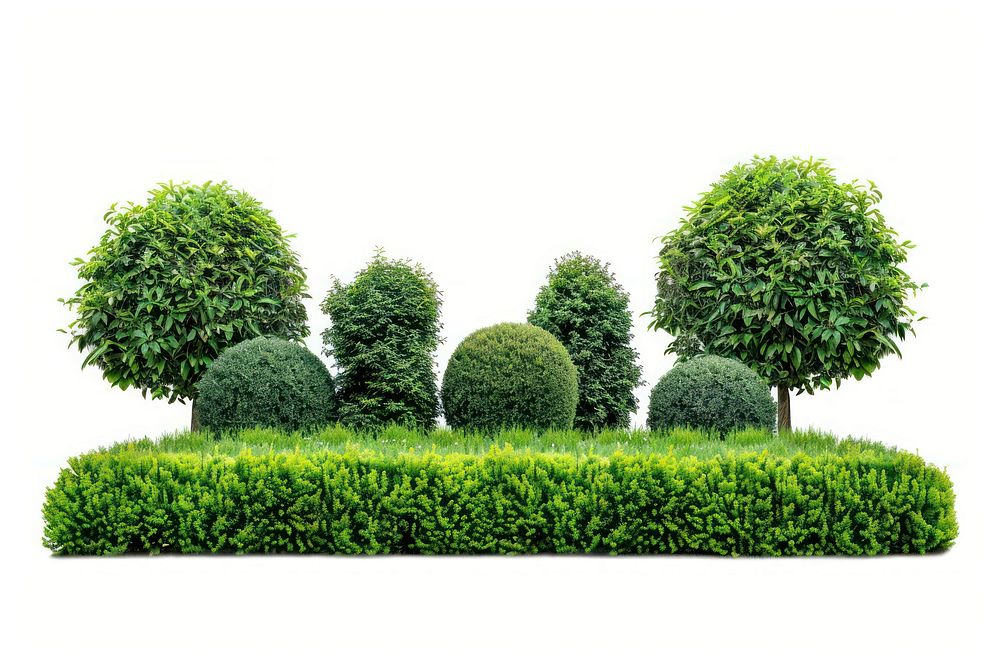Manicured garden with trimmed bushes | Free Photo - rawpixel