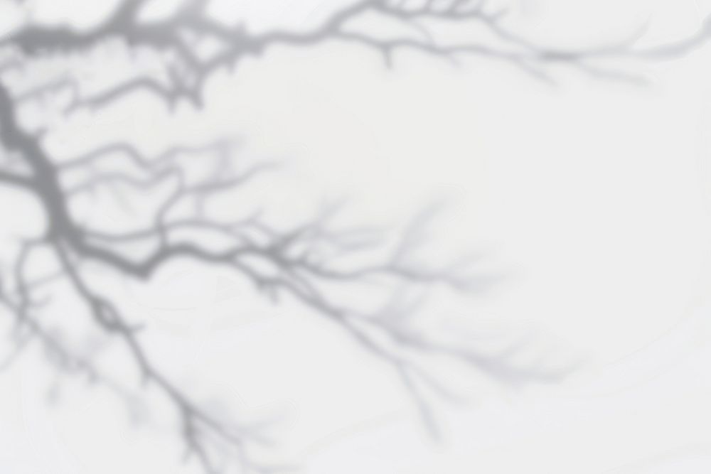 Abstract tree branch shadows | Free Photo - rawpixel