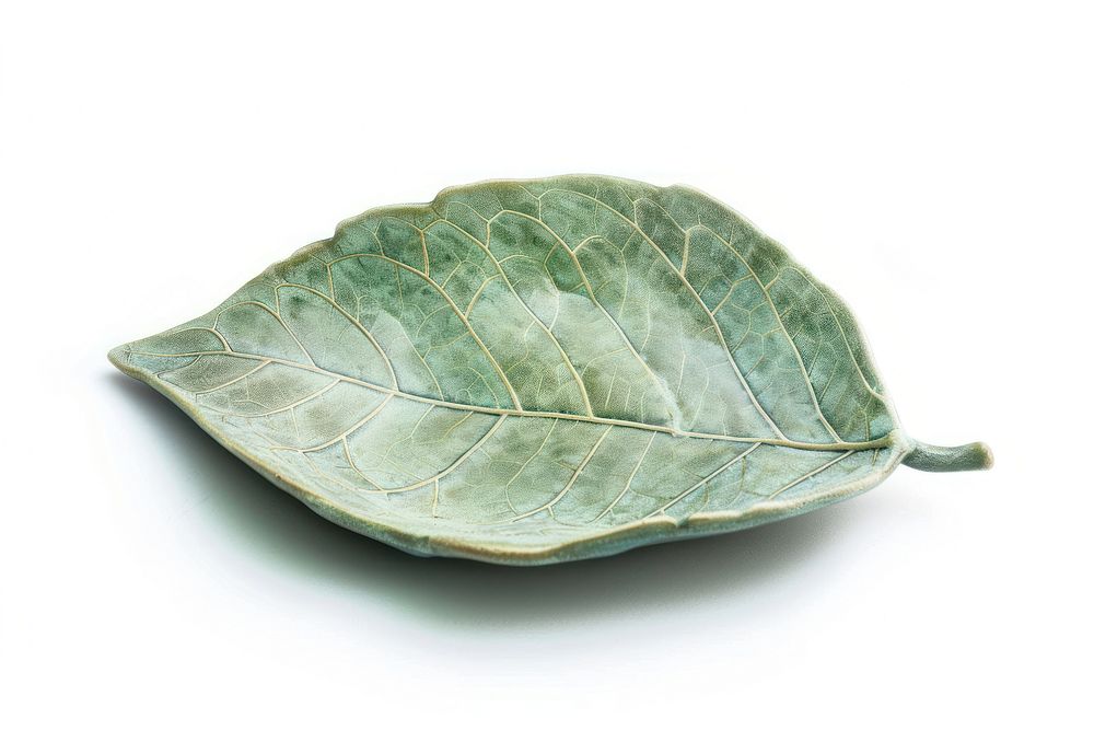 Leaf-shaped ceramic serving dish | Free Photo - rawpixel